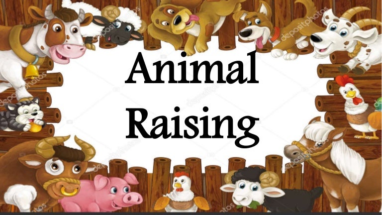 Animal raising