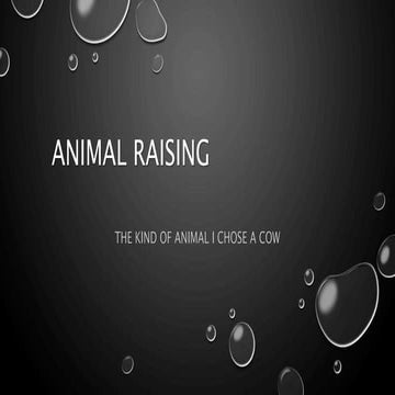 ANIMAL RAISING.pptx