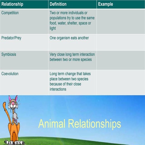 Animal Relationships | PPTX