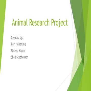Animal report | PPT