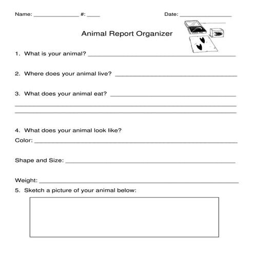 Animal report organizer | PDF