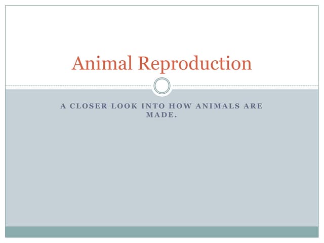 Reproduction in animals