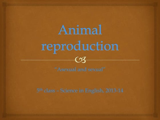 Animal Reproduction | PDF