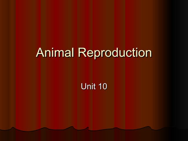 Animal Reproduction | PDF