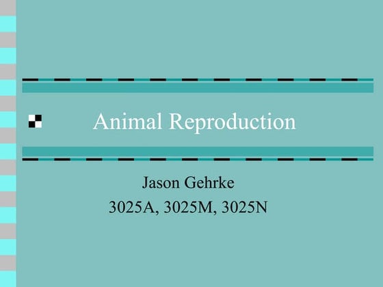 Male reproductive system of cattle | PPT