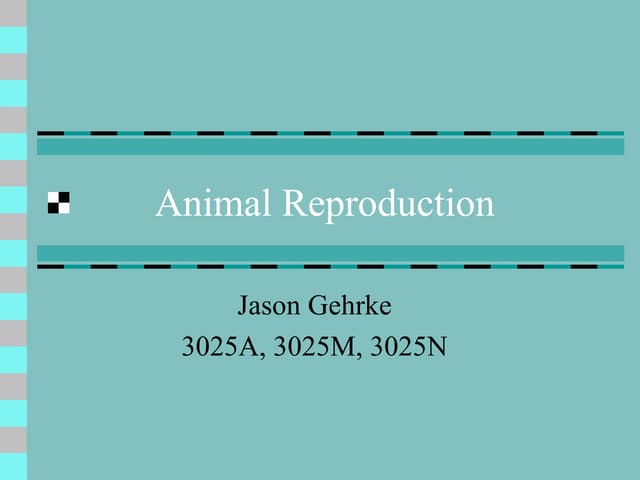 Animal reproduction | PPTX