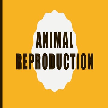 Animal reproduction | PPT | Free Download