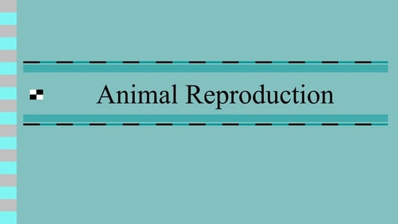 Animal_Reproduction.ppt