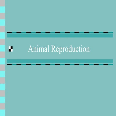 Animal_Reproduction.ppt