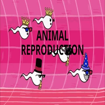Animal reproduction grade 5 level .pptx
