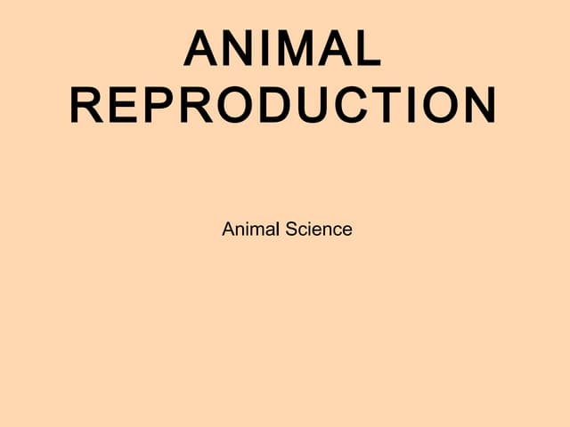 Sexual Reproduction in Animals | PPTX