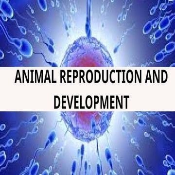 Animal Reproduction and Development.pptx