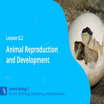 Reproduction-and-Development (1).pdf