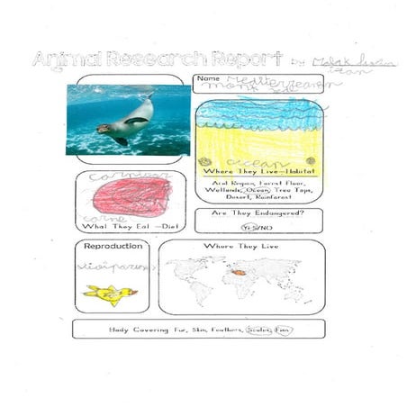 Animal research report | PDF