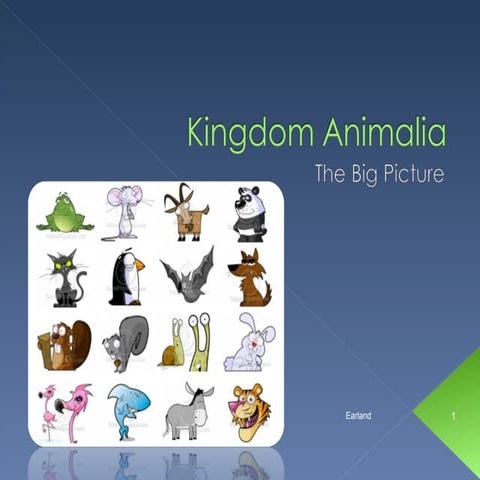 Animal review | PPT