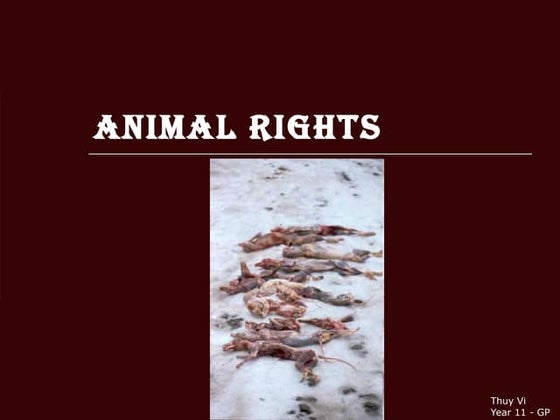 Animal Rights | PPT | Pets