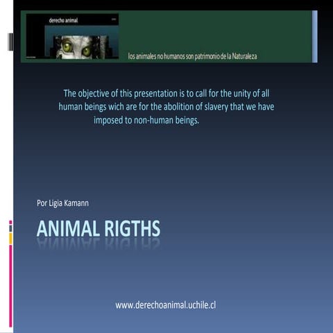 Animal Rights | PPTX | Pet Adoptions | Pets