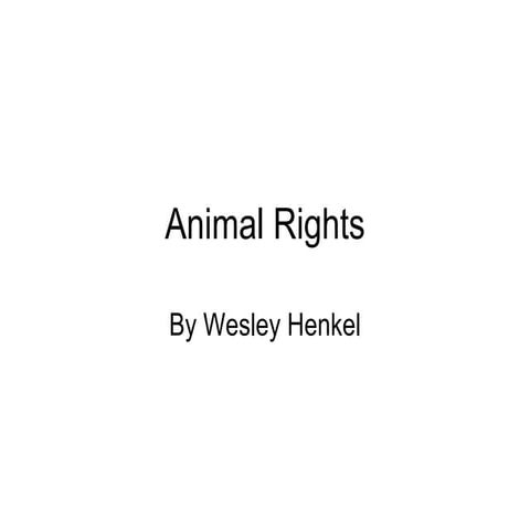 Animal Rights | PPT