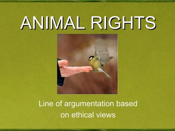 Animal Rights | PPT | Pets