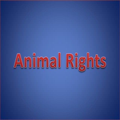 Animal rights | PPTX
