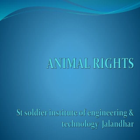 Animal rights | PPTX