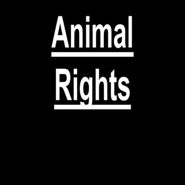 Animal rights critical thinking | PPT