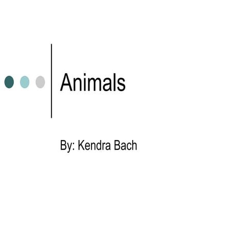 Animals | PPT