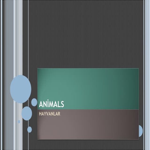 Animals | PPT