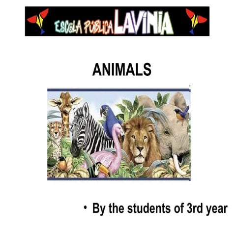 Animals | PPT