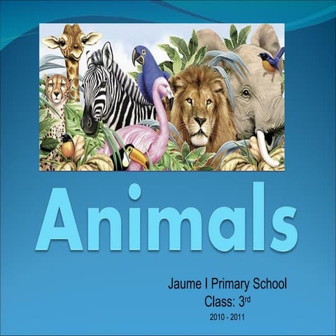 Animals | PPT