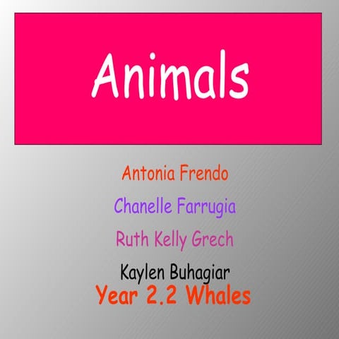 Animals | PPT