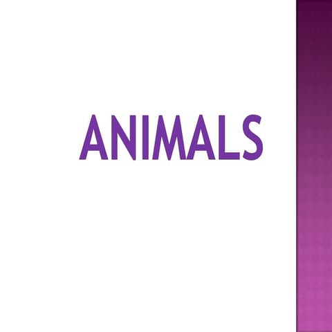 Animals | PPT | Cats | Pets