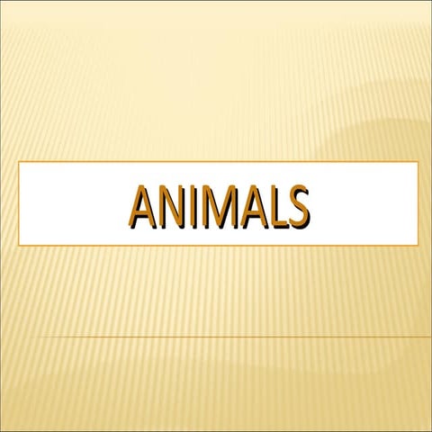 Animals (English) | PPT