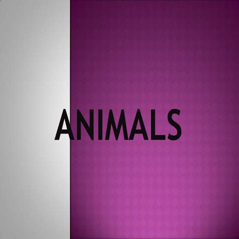 Animals | PPT