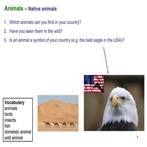 Animals | PPT