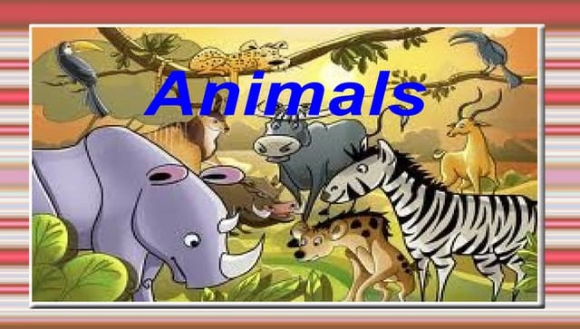 Animals powerpoints for kids | PPT