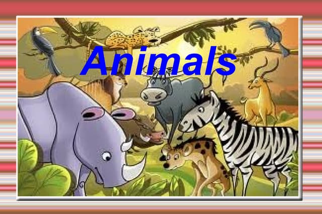 Animals powerpoints for kids | PPTX