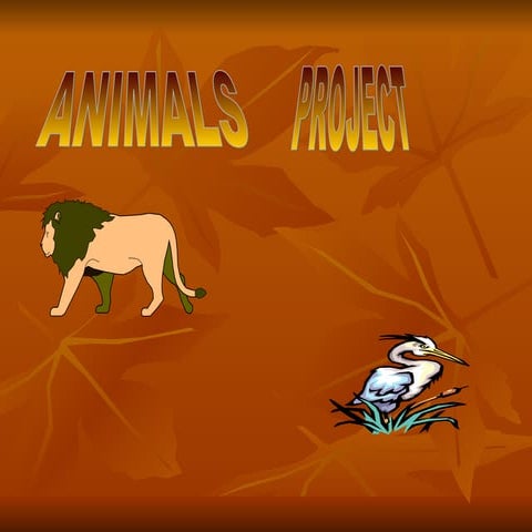 Animals | PPT