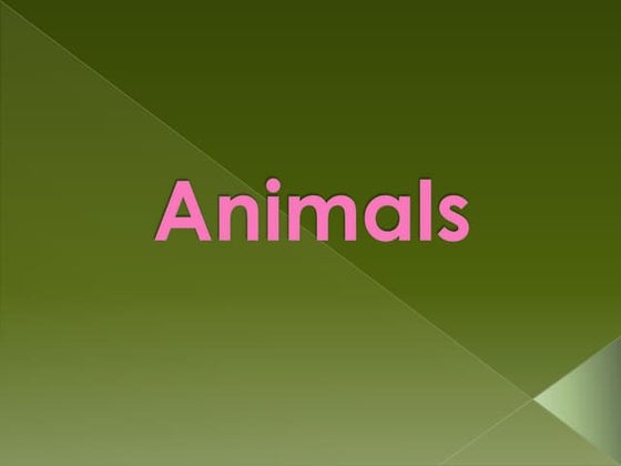 Animals | PPT