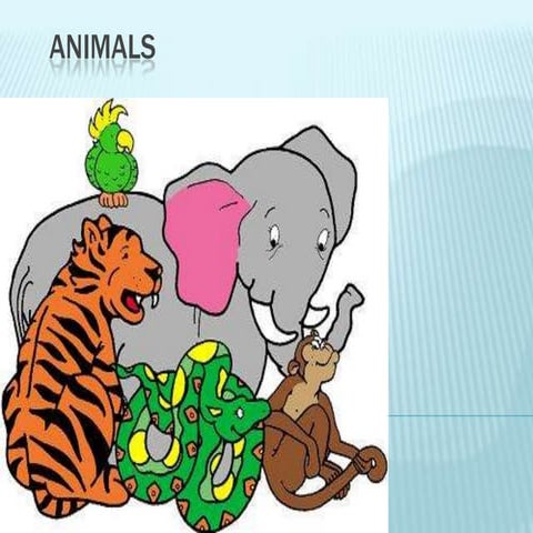 Animals | PPTX