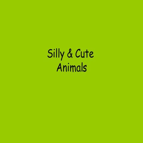 Silly Animals | PPT