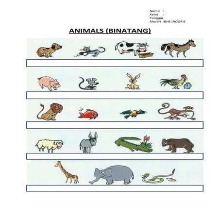 Animals | DOCX