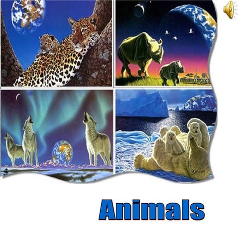 Animals | PPT