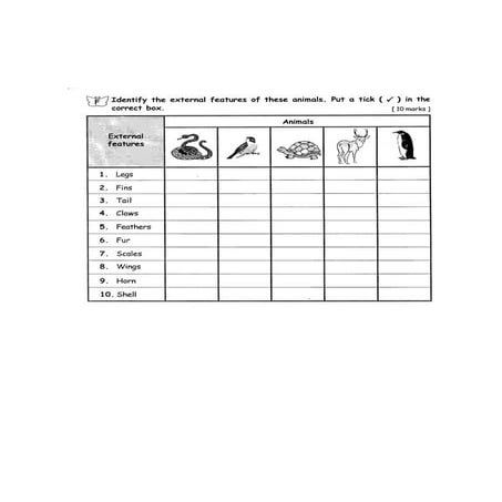 The animals have four legs | PDF