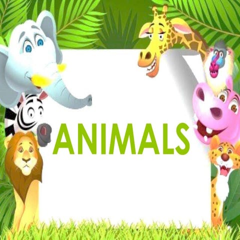 Animals | PPT
