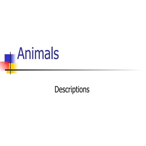 Animals groups | PPT