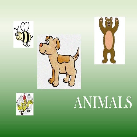 Animals | PPTX | Dogs | Pets