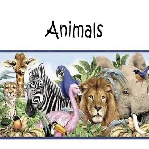 Animals | PPT