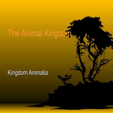 Animals Basic Taxonomy | PPT | Biological Sciences | Science