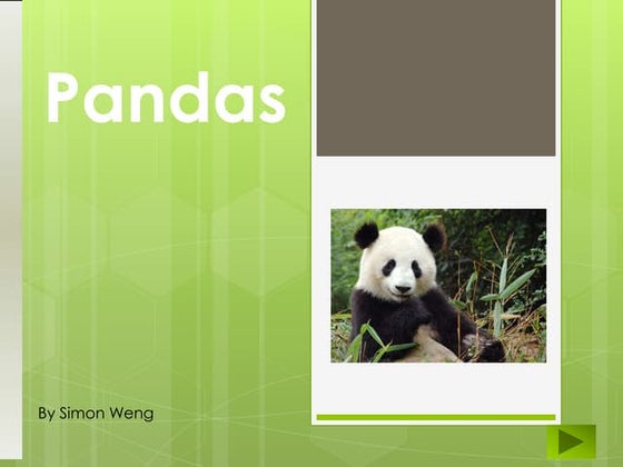 Giant panda! | PPTX | Large Animals | Pets